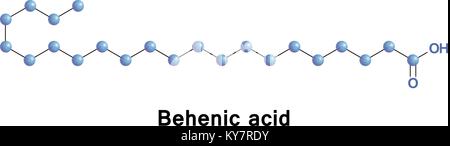 Behenic acid (docosanoic acid) saturated fatty acid molecule. Skeletal ...