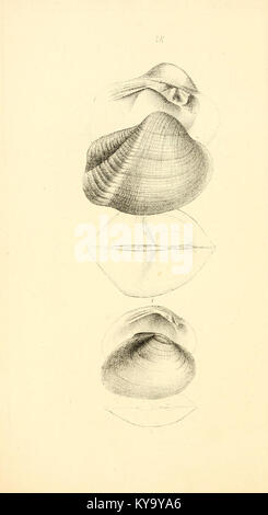 This detailed study of freshwater ecosystems focuses on the biological ...