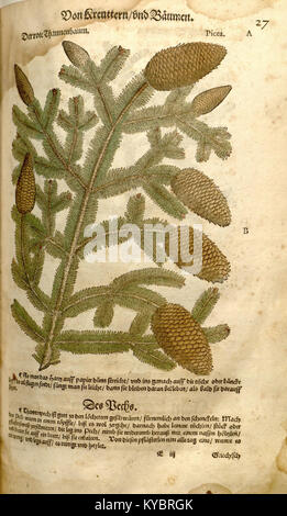 This section from the 'Descriptions of new species of fungi' highlights ...