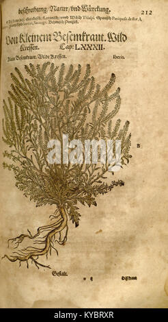 This botanical dictionary provides detailed descriptions of flowering ...