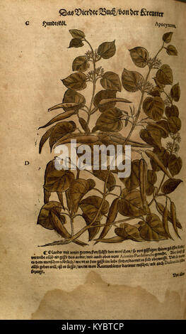 Botanical reference book featuring rare and new plants from the ...