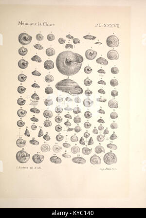 Notes sur les mollusques terrestres de la Vallée du Fleuve Bleu, Chang ...