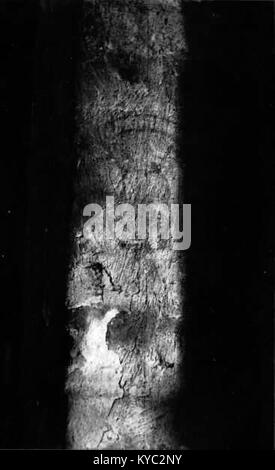 Nym Church is a historical religious site located in Sweden, known for ...