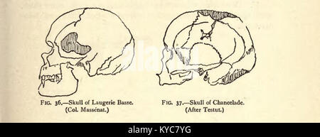 This illustration, from *Paleolithic Man and Terramara Settlements in ...