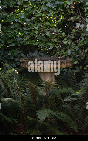 stone water font,bird bath,water feature,garden,gardens,focal point ...