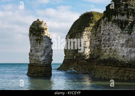 Sea stack, Selwicks Bay, Flamborough, East Yorkshire,UK Stock Photo - Alamy