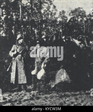 The site of mass executions in Palmiry, Poland, is historically ...