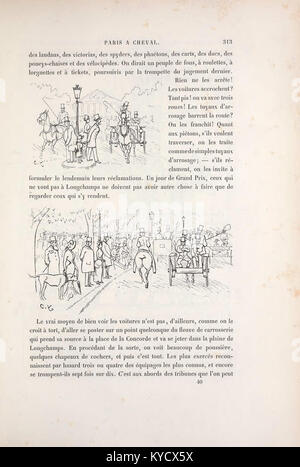 Archive image from page 313 of Die Natürlichen Pflanzenfamilien nebst ...