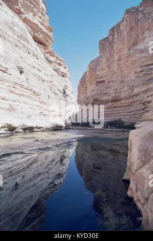 This image, from PikiWiki Israel, highlights the geography of Israel ...