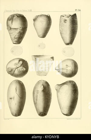 This illustration from the Silurian system of central Bohemia provides ...