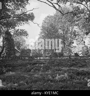 Husbyborgs Church Ruin in Tierp, Sweden, is a historic site notable for ...
