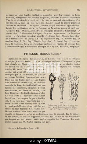 The publication on paleontology features fossil corals, providing ...