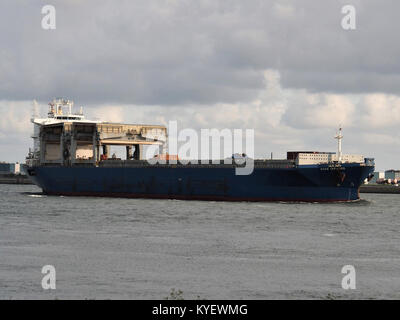 The Star Isfjord, a ship built in 2000, navigates the Nieuwe Waterweg ...