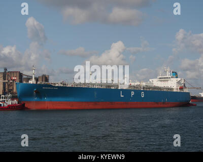 'Shahrastani' is a ship built in 2016, registered with IMO 9726085 ...