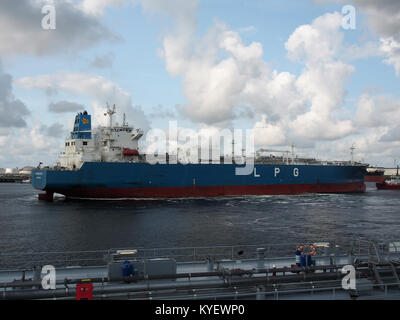 The Shahrastani, a container ship built in 2016 with IMO number 9726085 ...