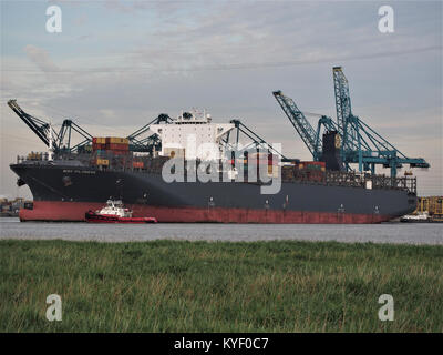 A photograph of the MSC Filomena, a container ship built in 2010 ...