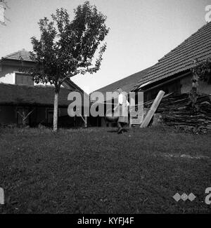 The 1950 photograph from Hrastov Dol, Slovenia, shows a traditional ...