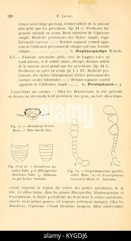 This work focuses on the description and classification of apple ...