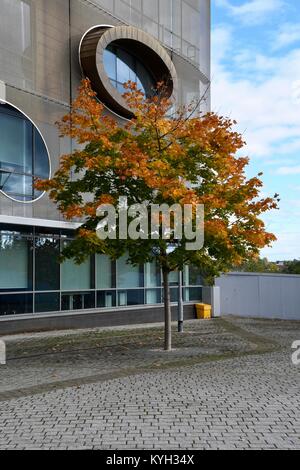 Northern Design Centre in Gateshead Stock Photo - Alamy