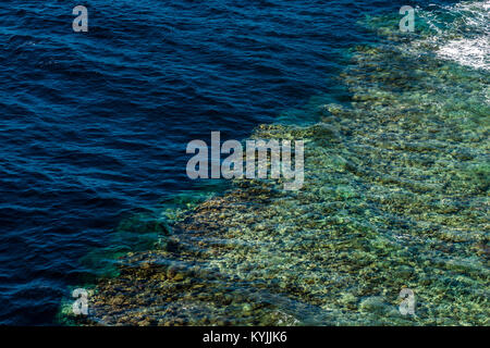 Red Sea coral reefs, Ras Mohammed, national park, fish, parrot fish ...
