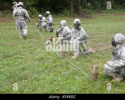 577th Sapper Company supports the Natural Resources Program at Harold L ...