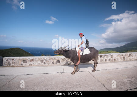 A farmer riding his farm animal, carabao, towing a young carabao Stock ...