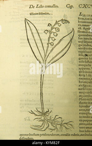 This illustration from 'The Natural History of Plants' depicts the ...