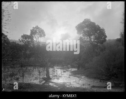 A historic image showing views of Rotorua, New Zealand, with scenic ...