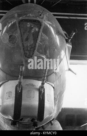 Photograph from the Melching collection, showing personnel or equipment ...