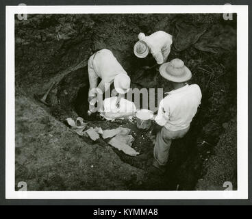 Field jackets used for specimen collection, possibly made from ...