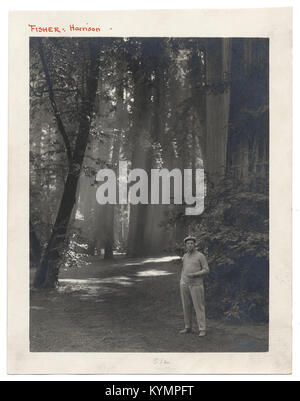 This photograph, taken in 1910, depicts the Mariengymnasium in Werl ...