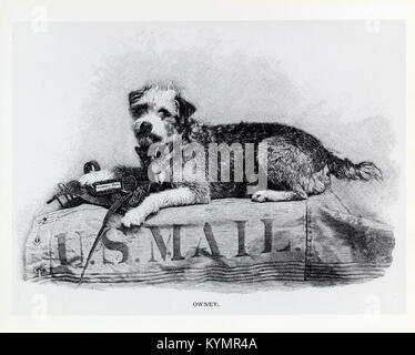 A historic illustration of Owney, the mascot dog of the Railway Post ...