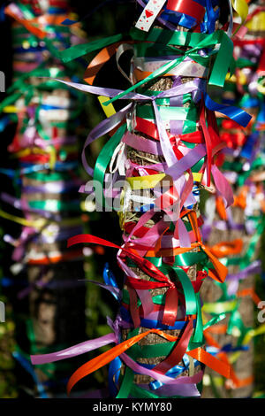Red ribbons on a wishing tree at a Chinese temple in Hainan, China ...