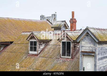 Military Dorm Guardhouse with corrugated iron roof and windows ...