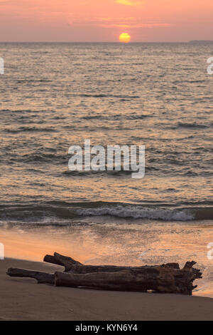 Washed up log on island beach Stock Photo - Alamy