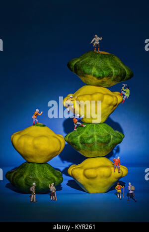 Light yellow Pattypan squash with round and shallow shape and scalloped ...