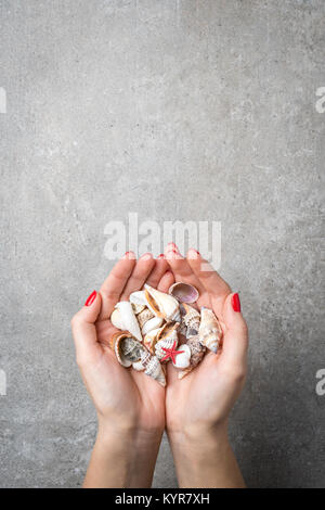 stack of seashells Stock Photo - Alamy