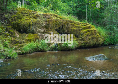 Waterfall at city Rauna, Latvia. Nature, river and trees. Beautiful ...