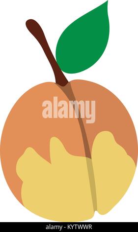 Icon Of Peach In Ui Colors. Flat Circle Stencil Design With Long Shadow ...