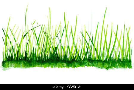 Vibrant watercolor green grass texture on white background Stock Photo ...