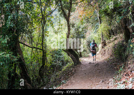 tourists on the ABC trek, Annapurna Base Camp in Nepal, Asia Stock ...