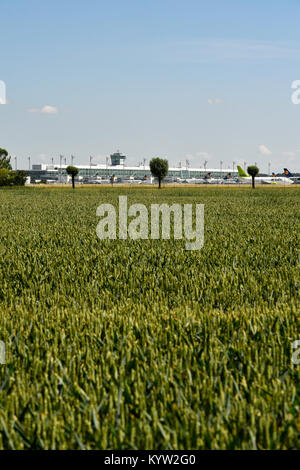Field, airport area, satellite building, Grass, Weed, Munich Airport ...