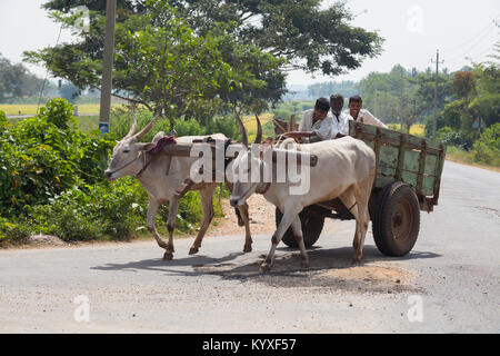 traditional indian ox cart transport in a village near mysore Stock ...