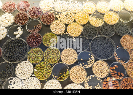 Visiting Bloomfield Science Museum Jerusalem in Israel Stock Photo - Alamy