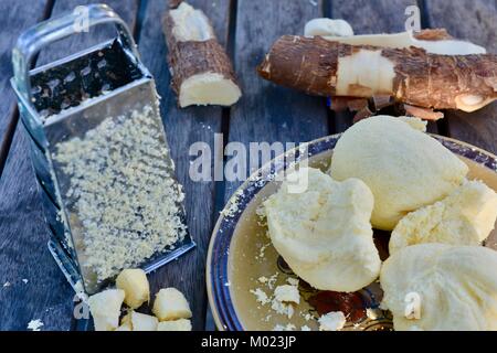 Grating fresh home grown organic cassava to prepare cassava bread ...
