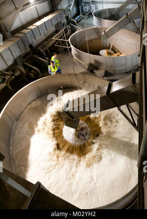 Malting barley, the ‘active’ malting process begins with the steeping ...