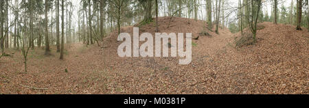 Burgstall Stauf, a medieval castle ruin located in Germany, represents ...