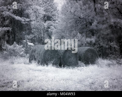 Rural scene in Alabama Stock Photo - Alamy