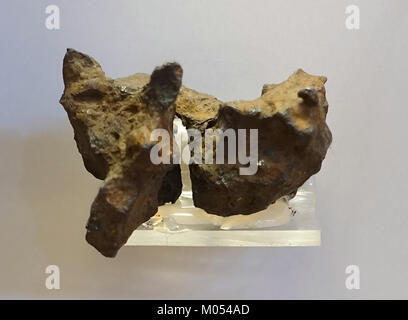 Brenham meteorite, Kansas, fell in 1892, pallasite, silicate minerals ...