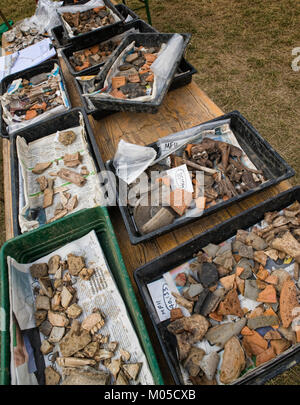 Archaeologist excavating pottery Stock Photo - Alamy